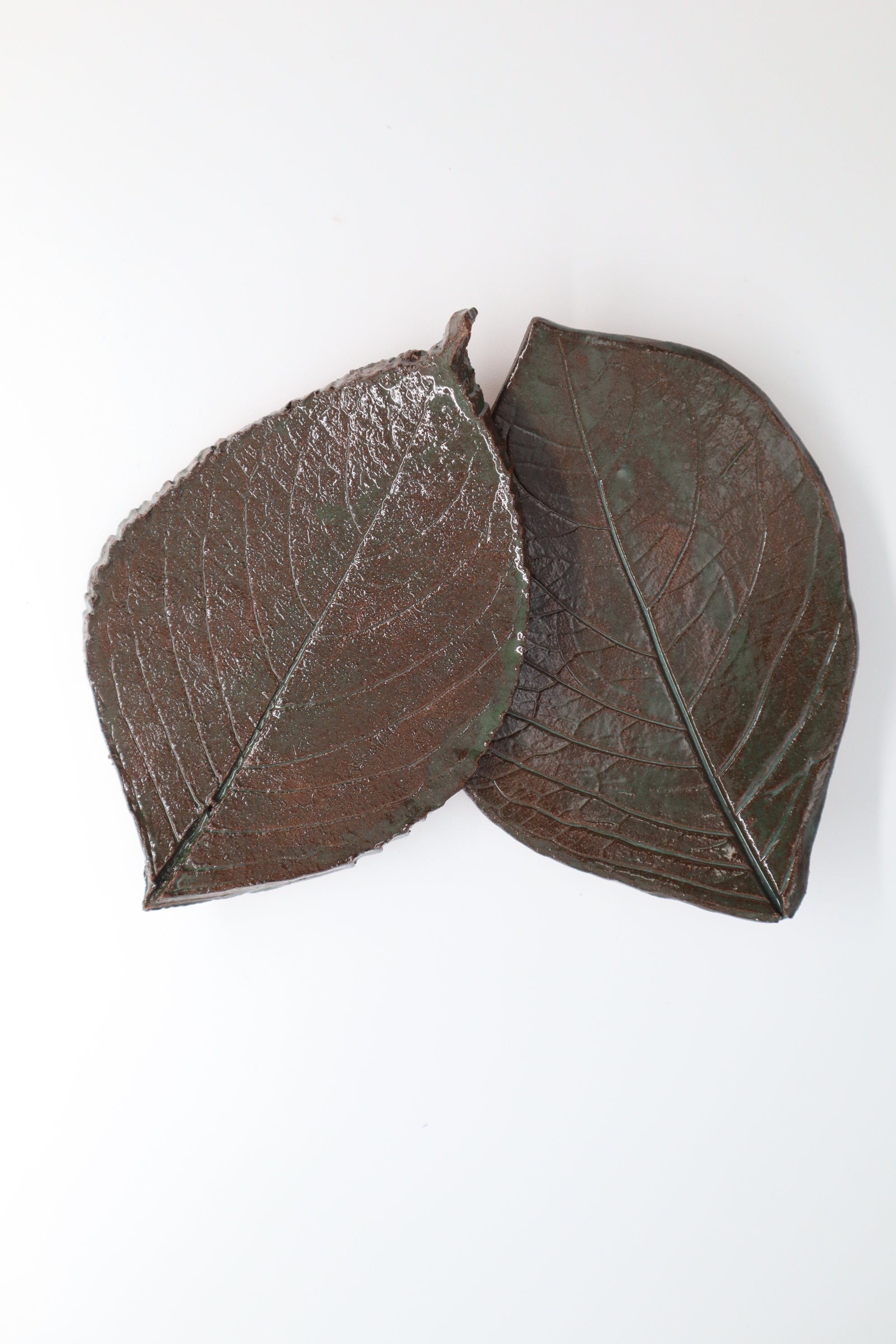 Ceramic Hydrangea Leaf | Made @ Andrews